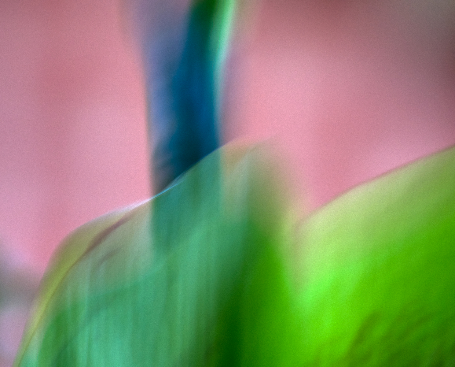 Abstract – Peter Bushby